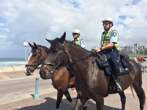New South Wales Mounted Police Unit | HELLO BONDI