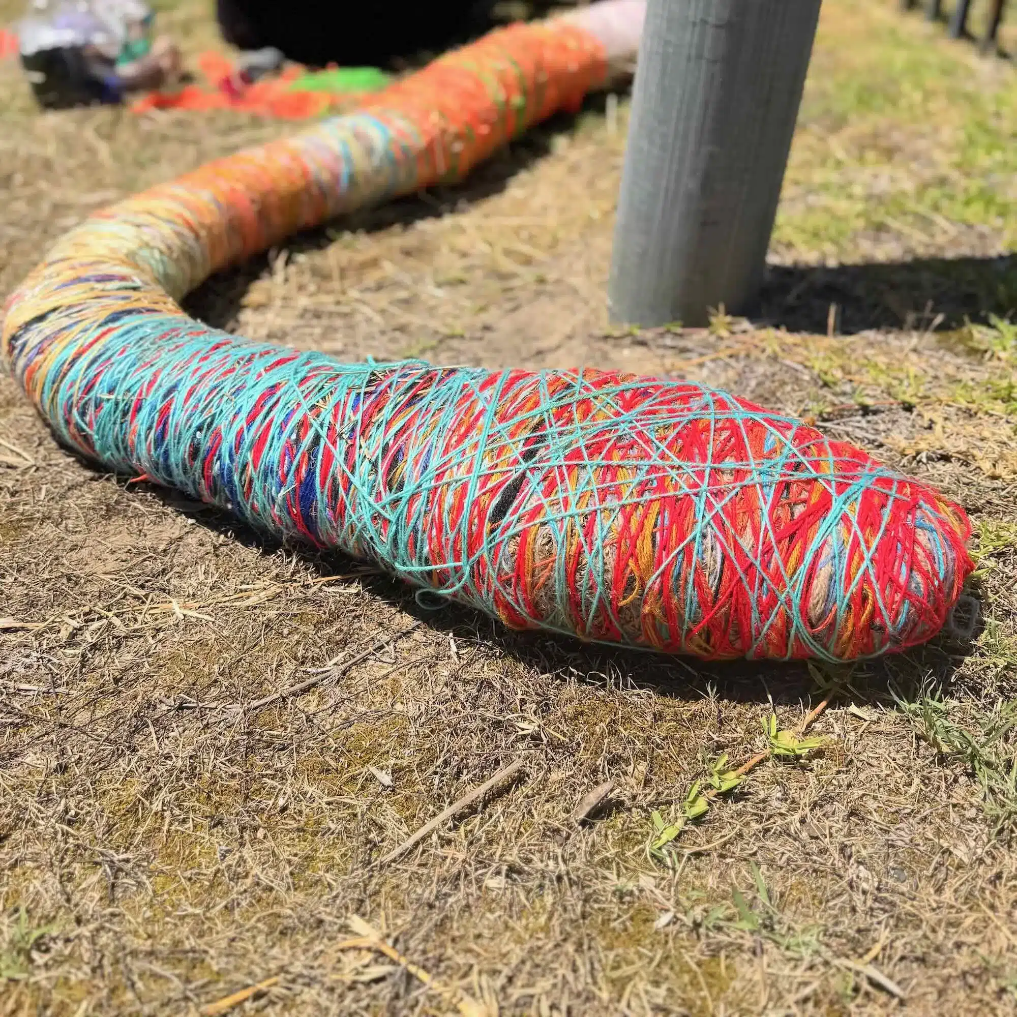 Sharyn Egan's Rainbow Grass Snake Finds New Home | HELLO BONDI