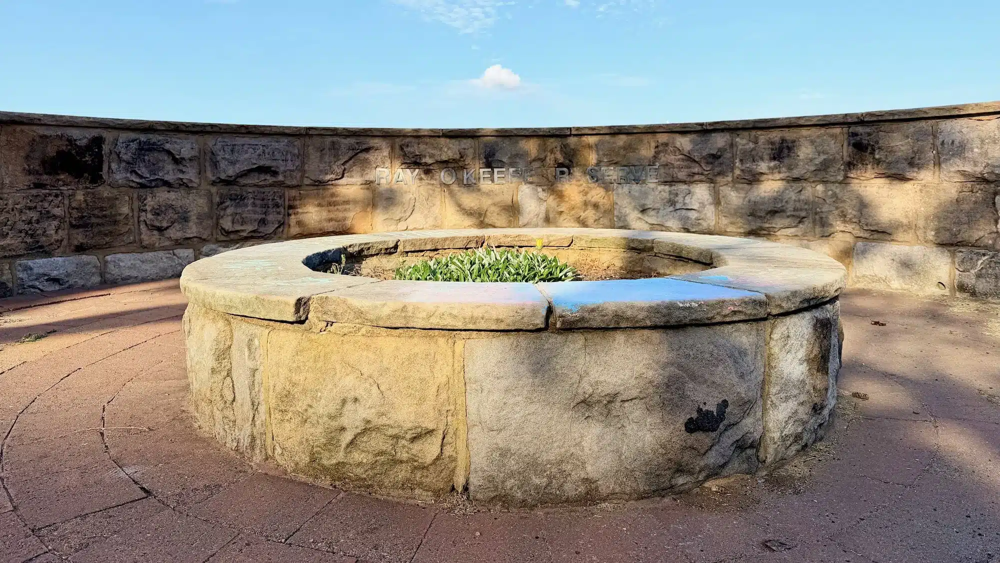 Ray O'Keefe Reserve | HELLO BONDI